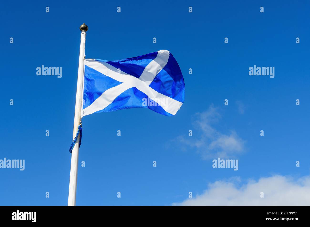 Flag of Scotland (Saltire or the Saint Andrew's Cross) blowing in the ...