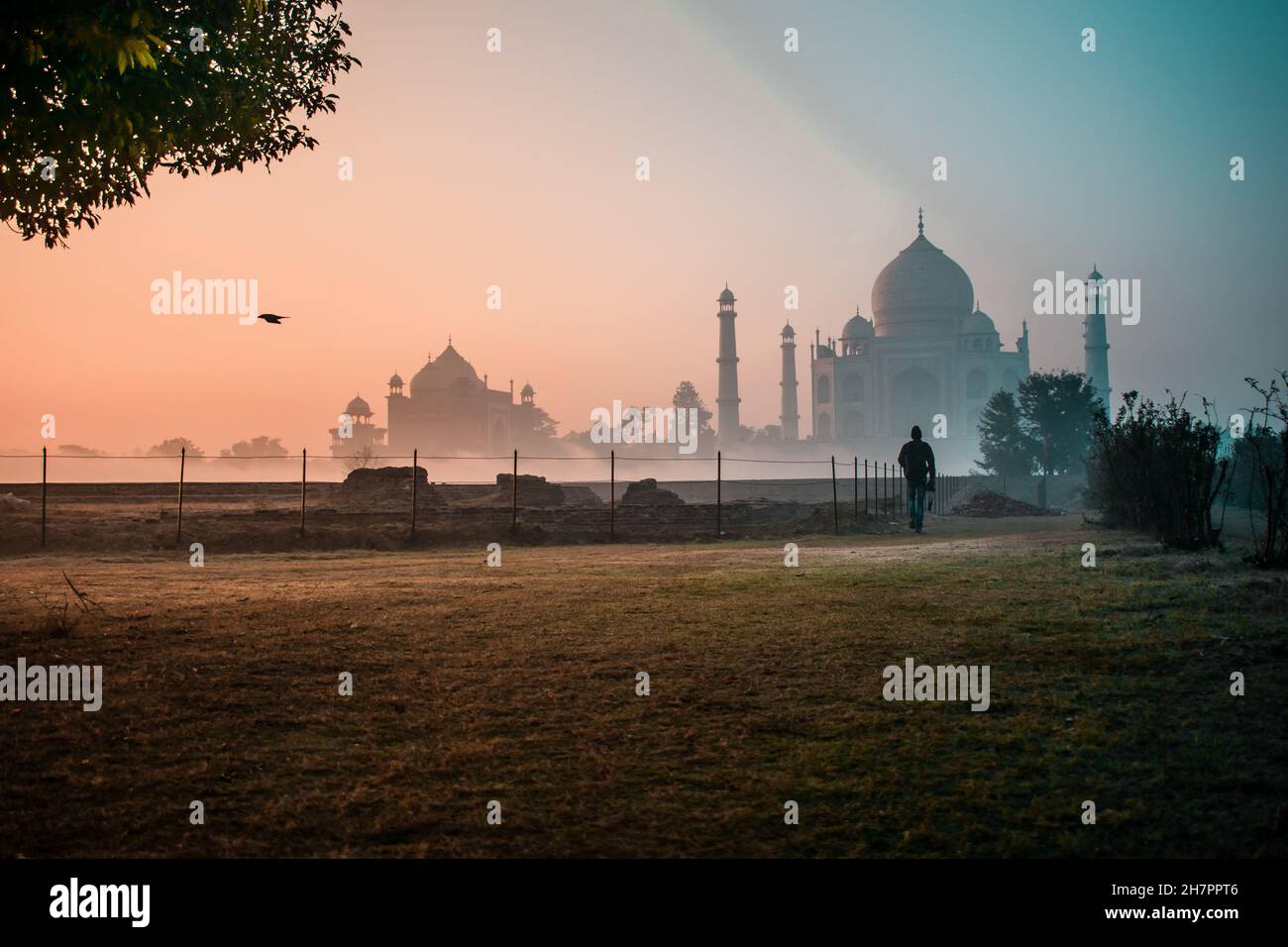 Mehtab bagh garden hi-res stock photography and images - Alamy