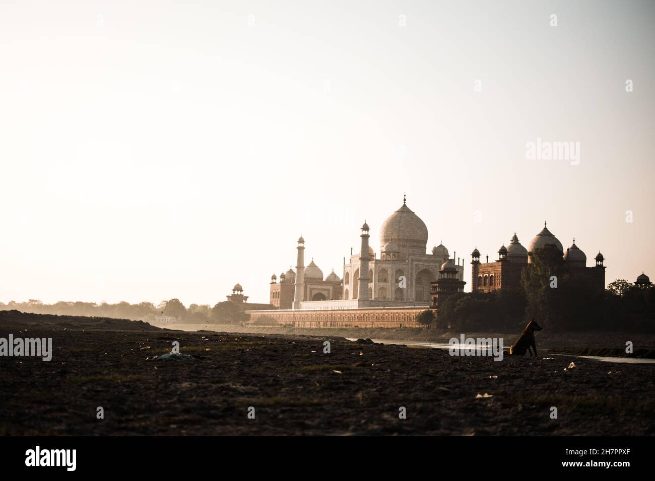 Mehtab bagh garden hi-res stock photography and images - Alamy