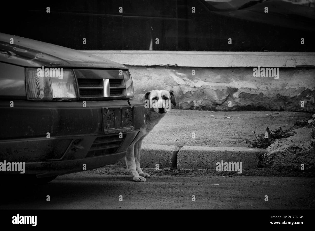 Car behind car Black and White Stock Photos & Images - Alamy