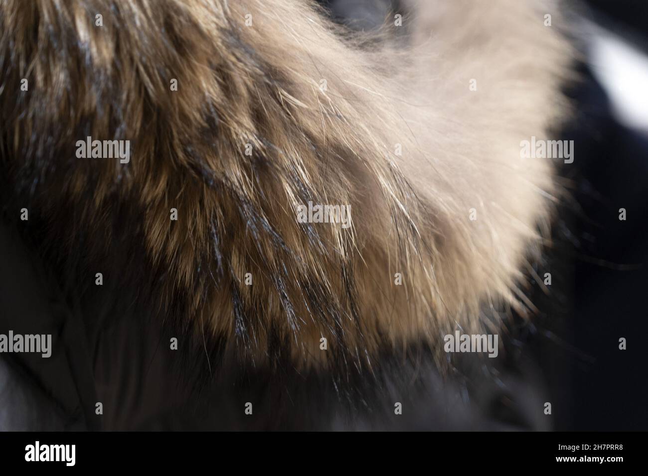 Neck cloth hi-res stock photography and images - Alamy