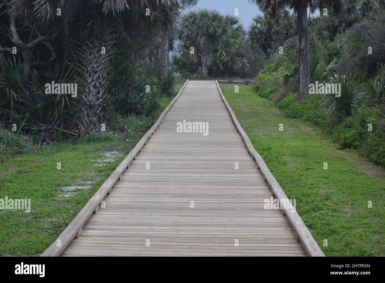 A long straight boardwalk for pedestrians Stock Photo - Alamy