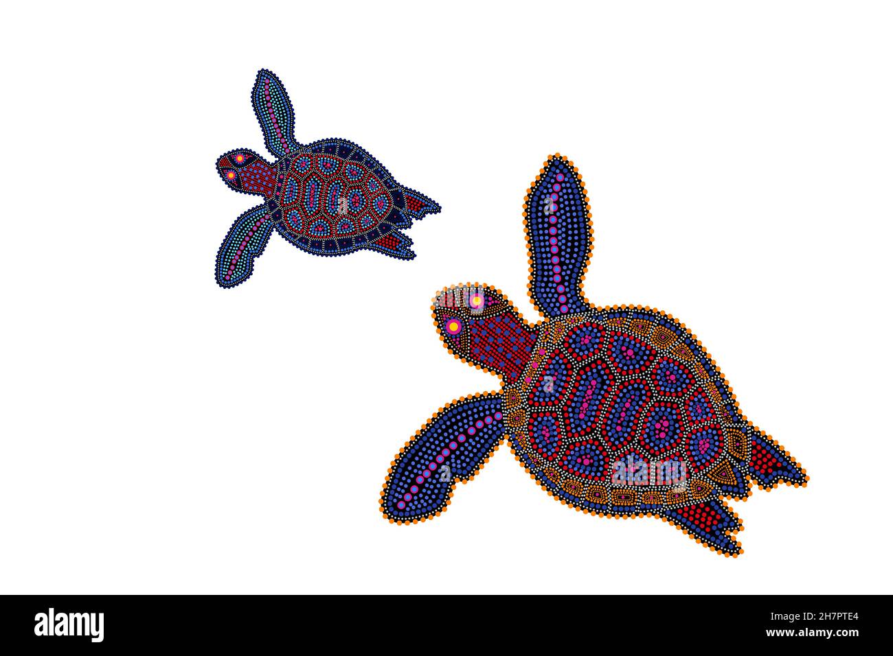Aboriginal Turtle