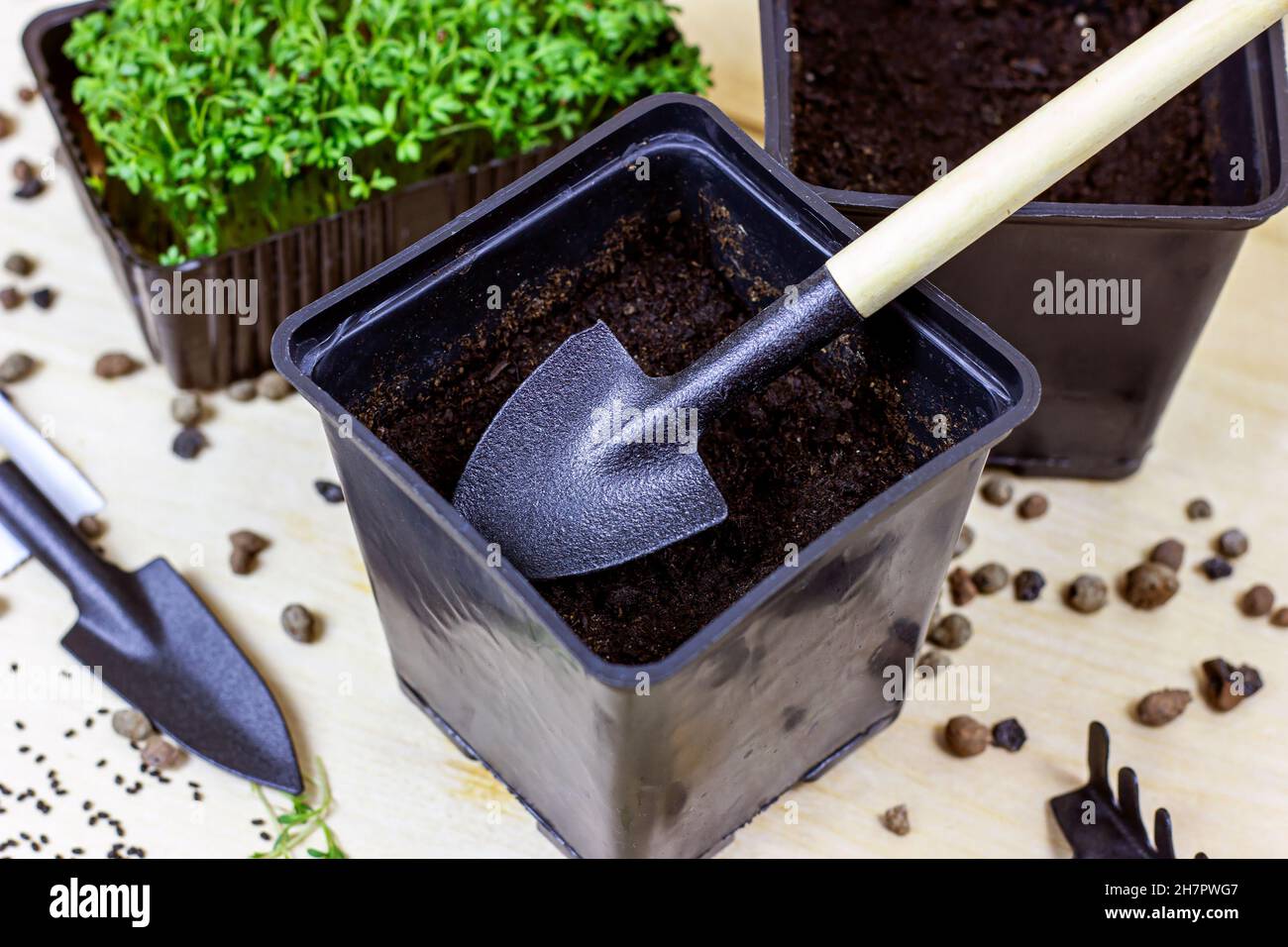 Black flower pot with a shovel. Home gardening concept Stock Photo - Alamy