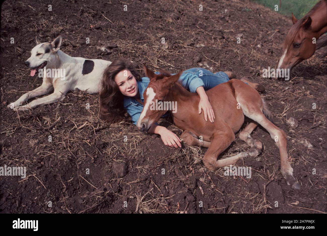 Los Angeles.CA.USA. LIBRARY. Mary Crosby at home in the Malibu Canyon ...