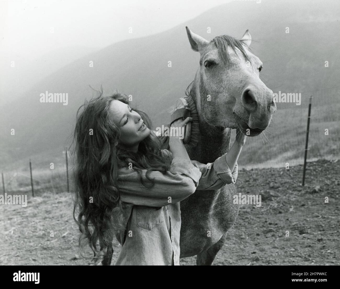 Los Angeles.CA.USA. LIBRARY. Mary Crosby at home in the Malibu Canyon ...