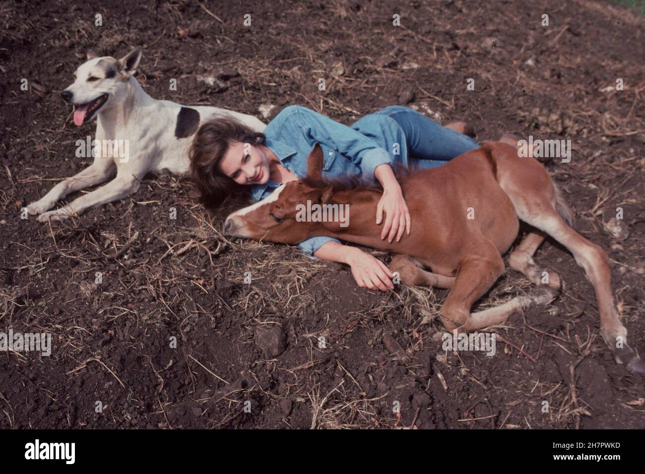 Los Angeles.CA.USA. LIBRARY. Mary Crosby at home in the Malibu Canyon ...