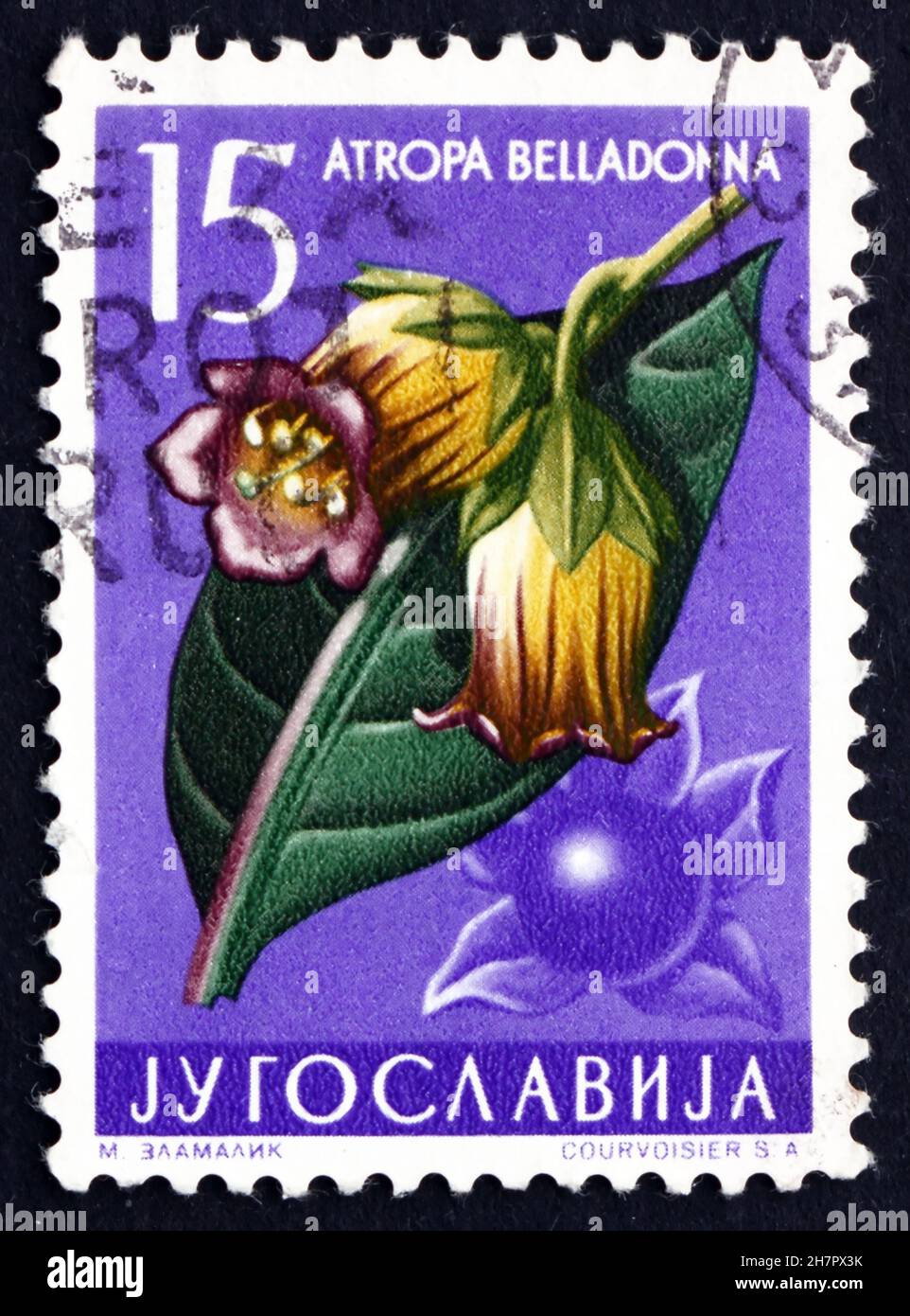 YUGOSLAVIA - CIRCA 1957: a stamp printed in the Yugoslavia shows ...