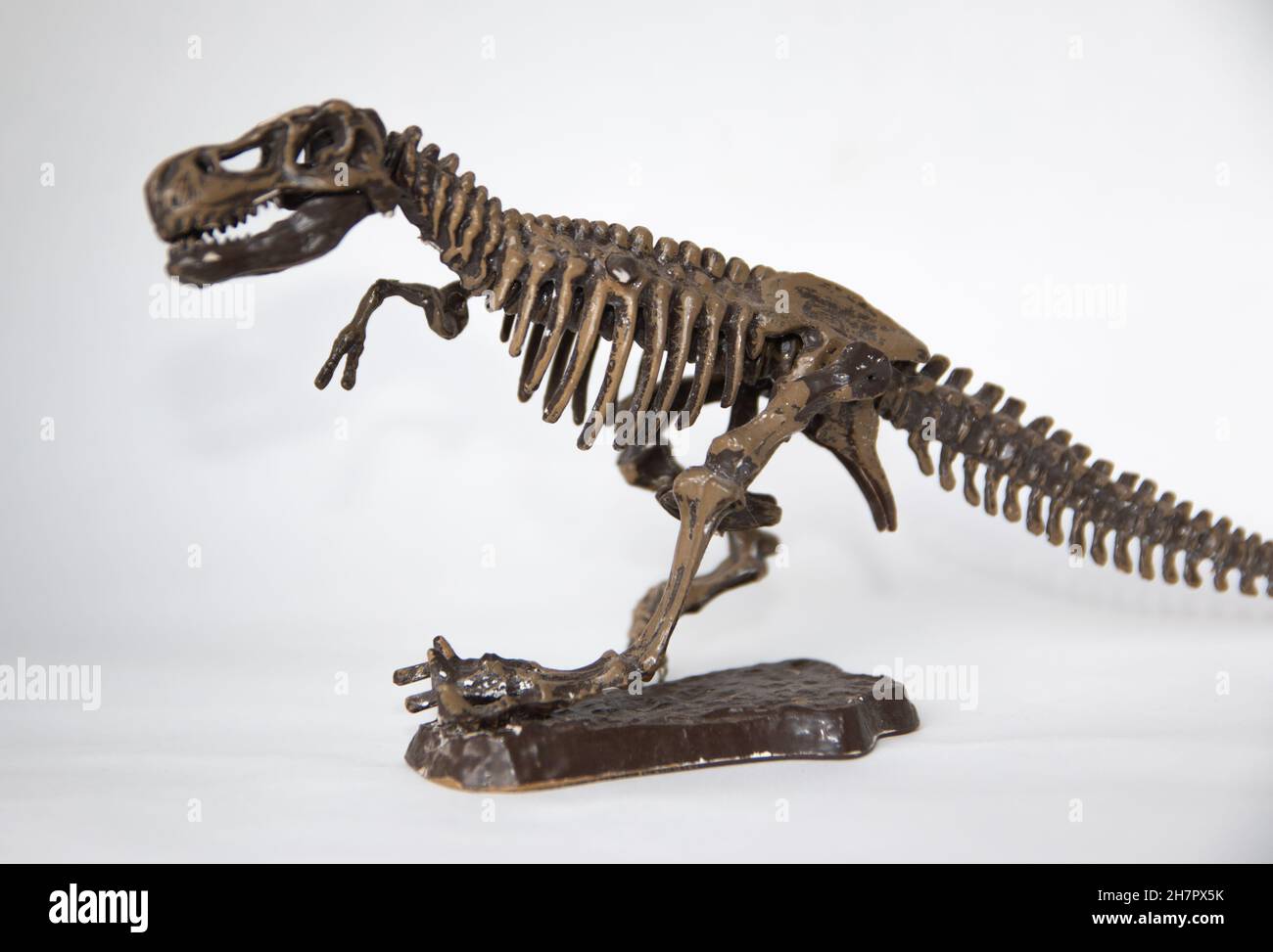 Small miniature statue of a dinosaur skeleton isolated on a white ...