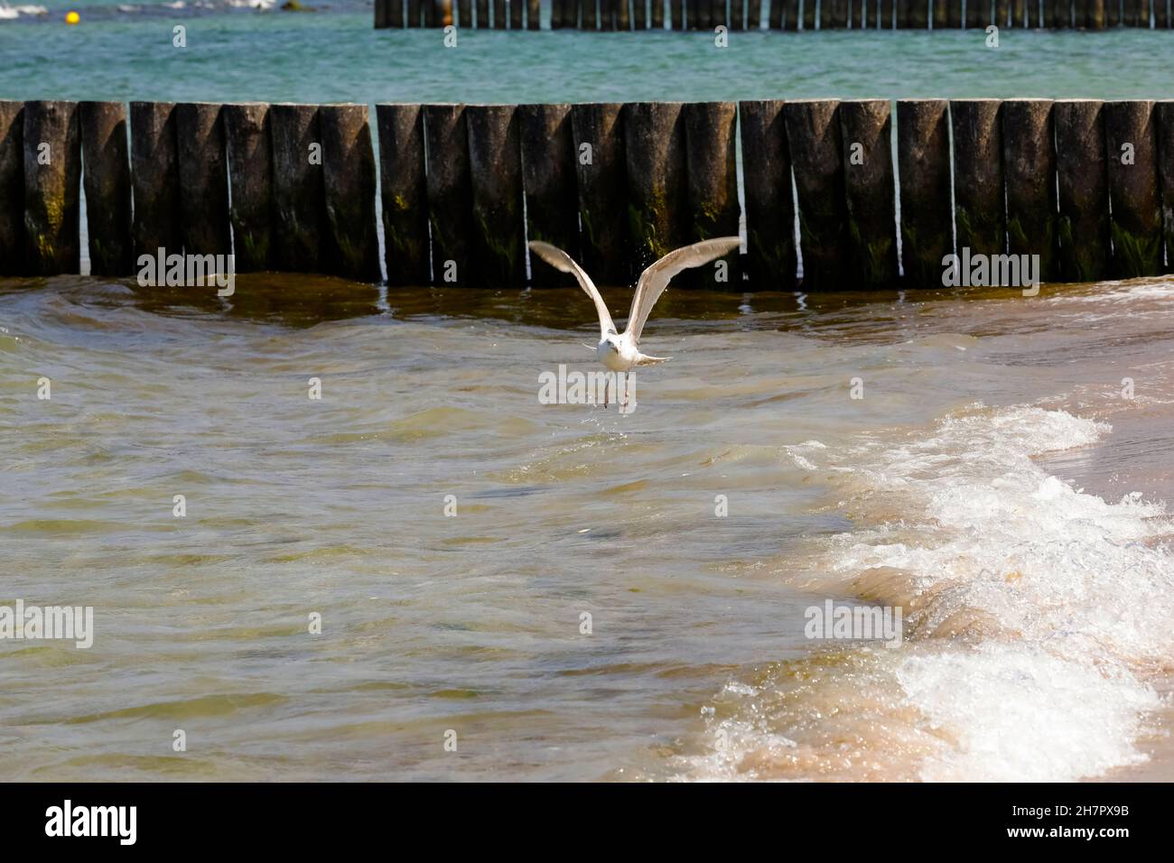 Shallow coastal waters of the Baltic Sea and above them there is one ...
