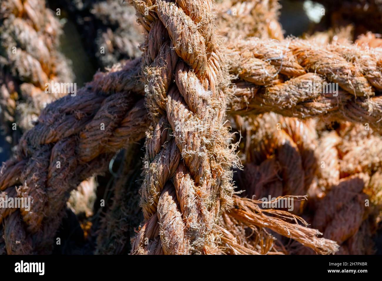 Worn out rope hi-res stock photography and images - Alamy