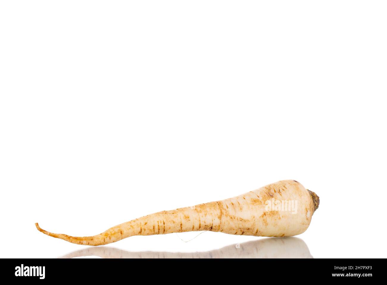One spicy parsnip, close-up, isolated on white Stock Photo - Alamy