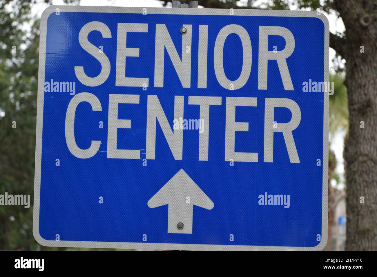 A blue sign instructs Senior Center ahead with an arrow pointing up ...