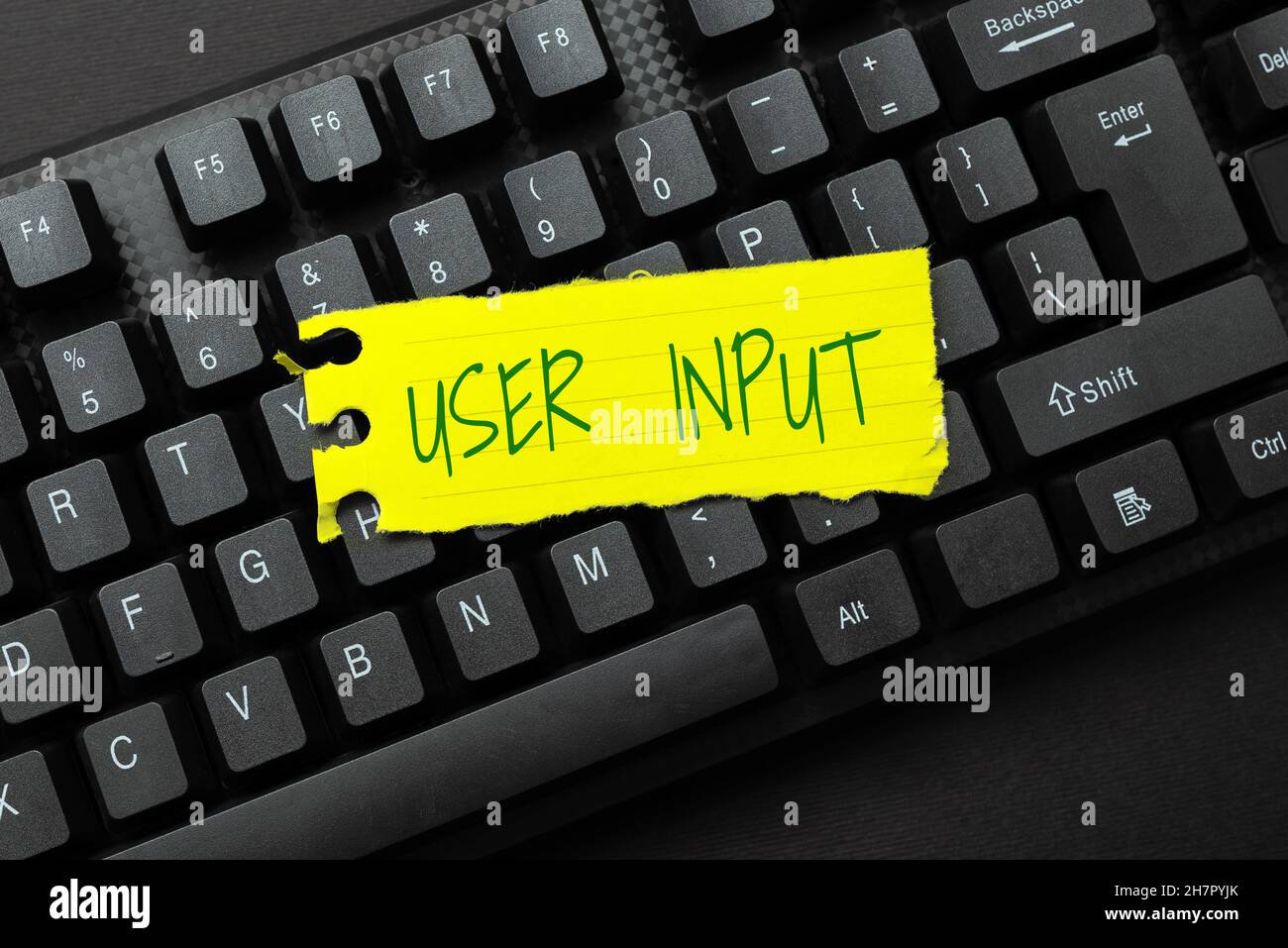 Conceptual caption User Input. Business overview Any information or ...