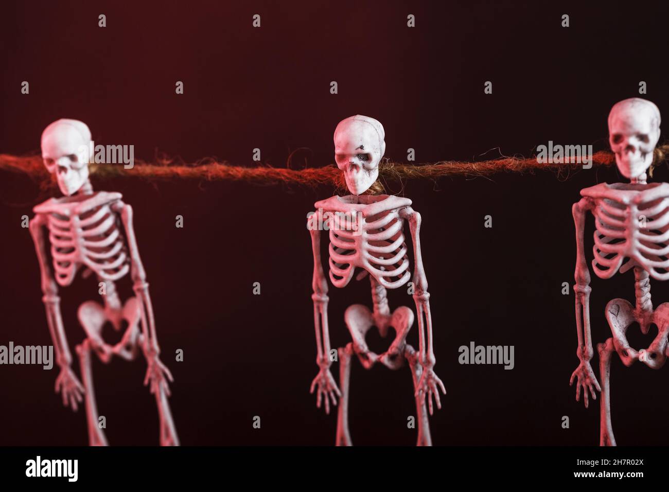 Skeleton hanged on a rope hi-res stock photography and images - Alamy