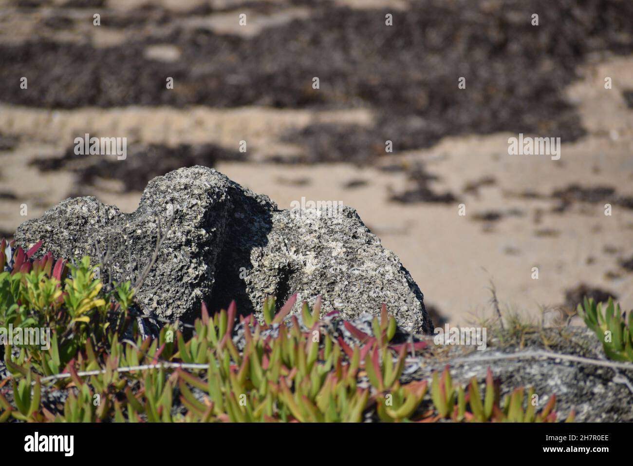 A large gray rock forms the top of a seawall Stock Photo - Alamy