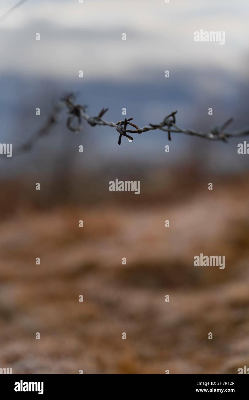 Vertical shot of barbed wire with blurred background Stock Photo - Alamy