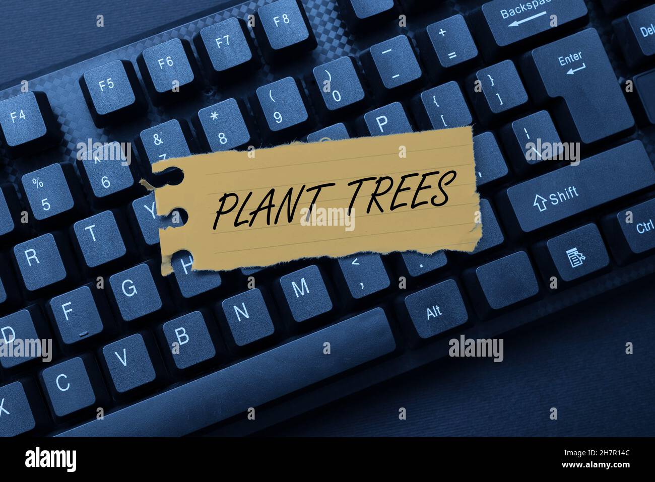 Text showing inspiration Plant Trees. Internet Concept process of ...