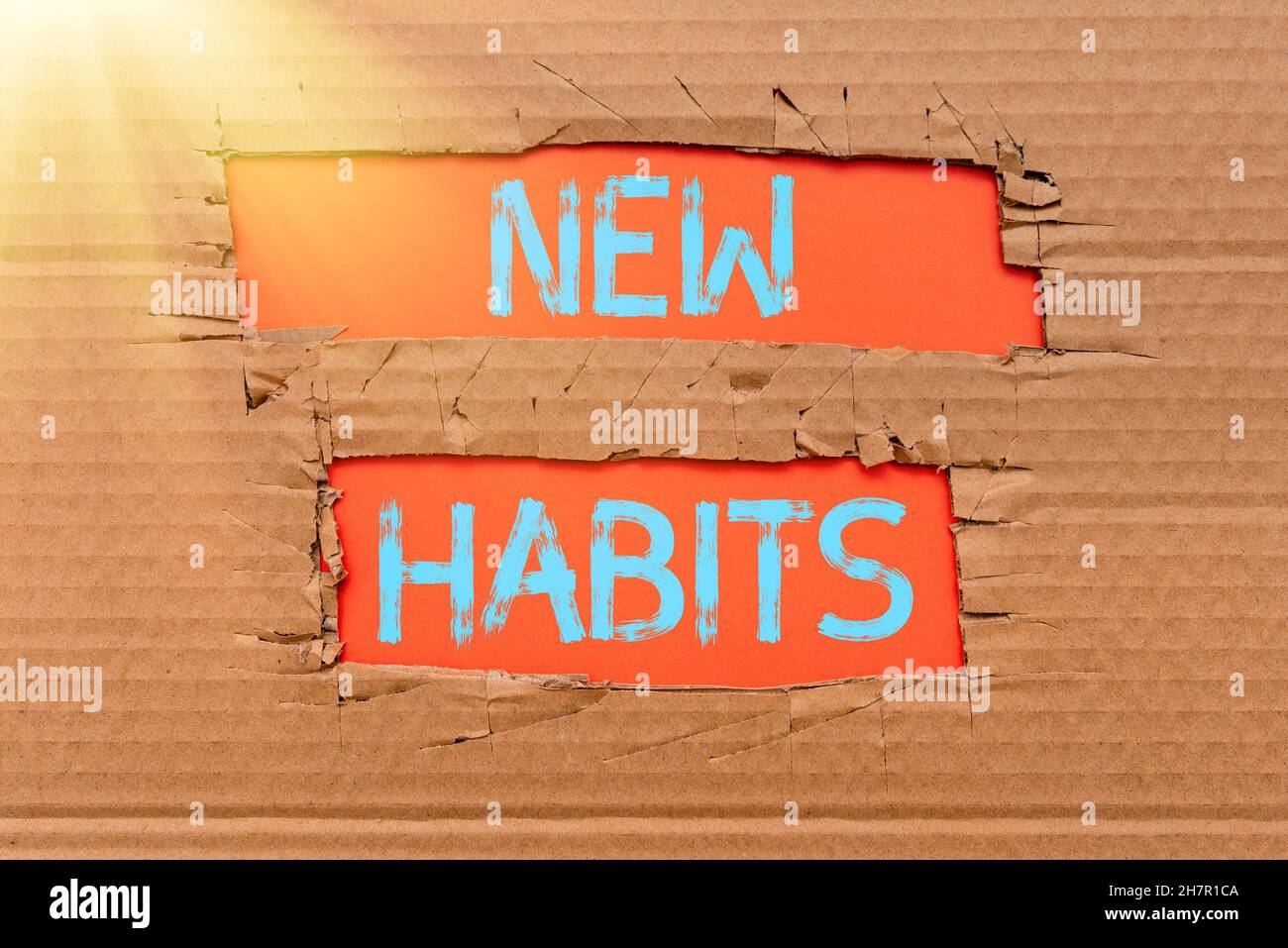 Text sign showing New Habits. Business showcase change the routine of ...