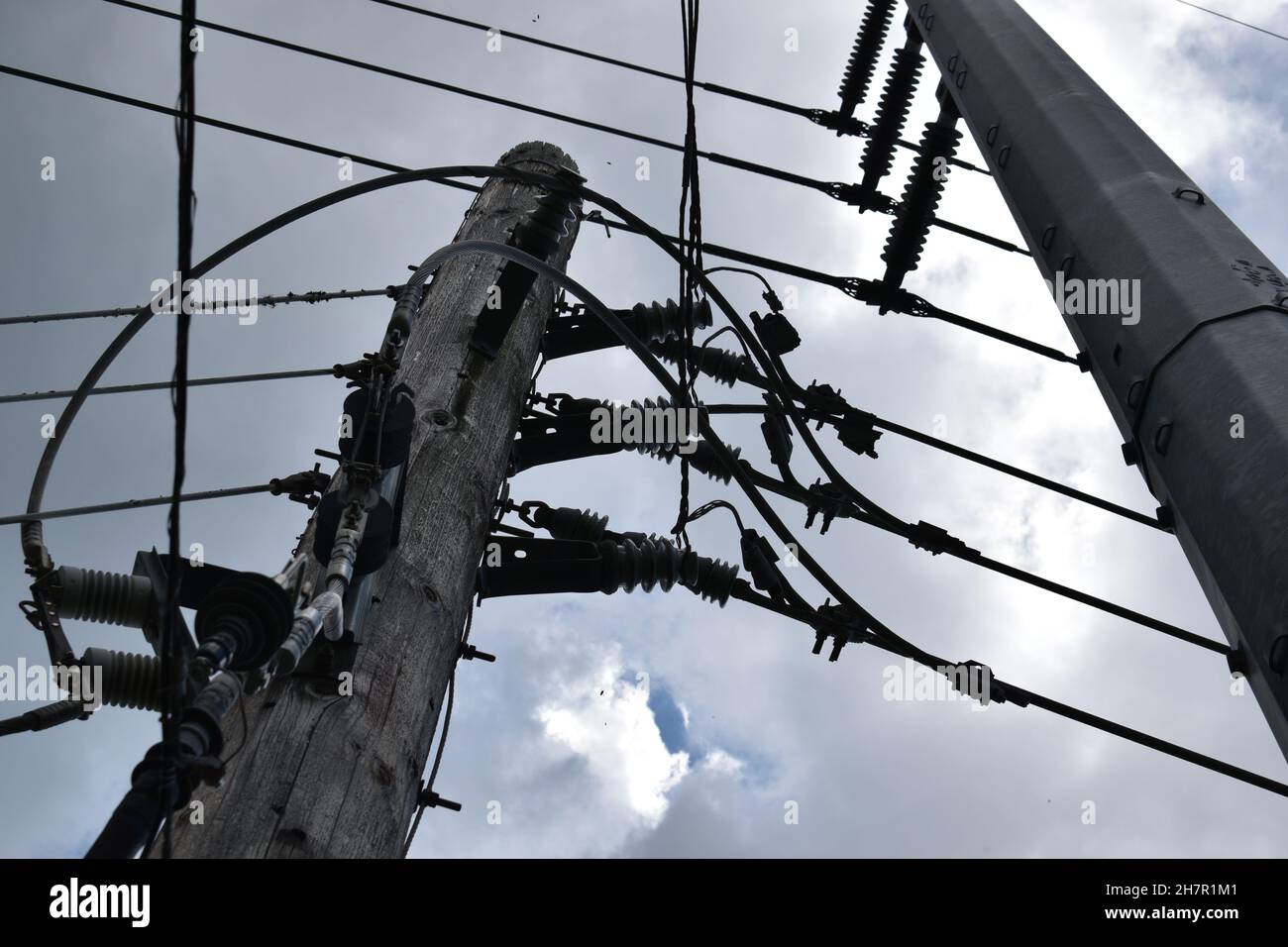 Close-up view of different types of connectors for electrical lines on ...