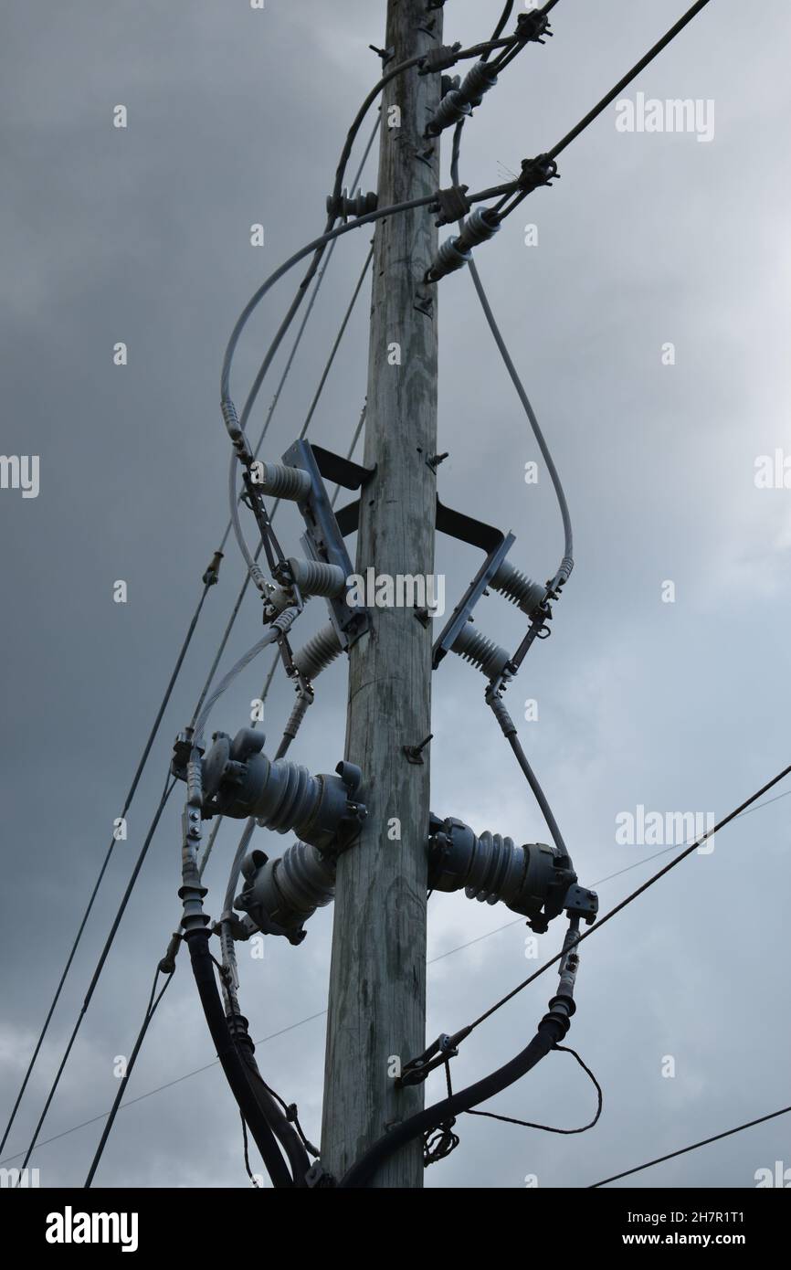Close-up vew of electrical insulators and connectors on a wooden power ...