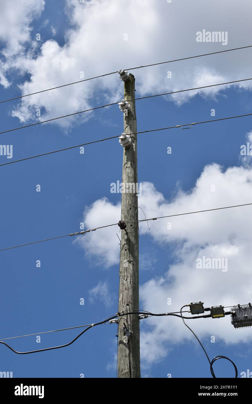 An old wooden utility pole holds various type of electrical lines Stock ...