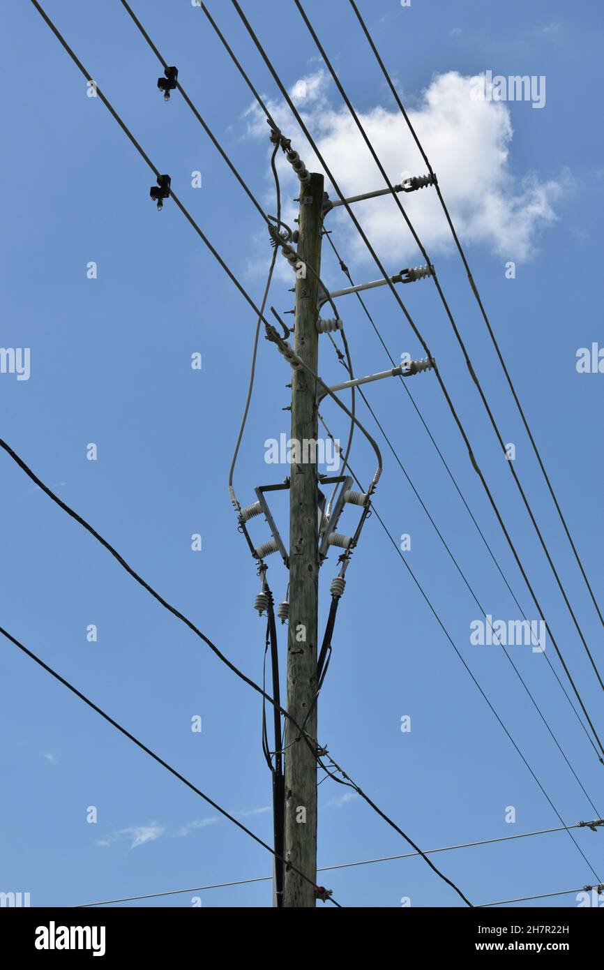 High voltage lines attached to extended insulators on a wooden utility ...