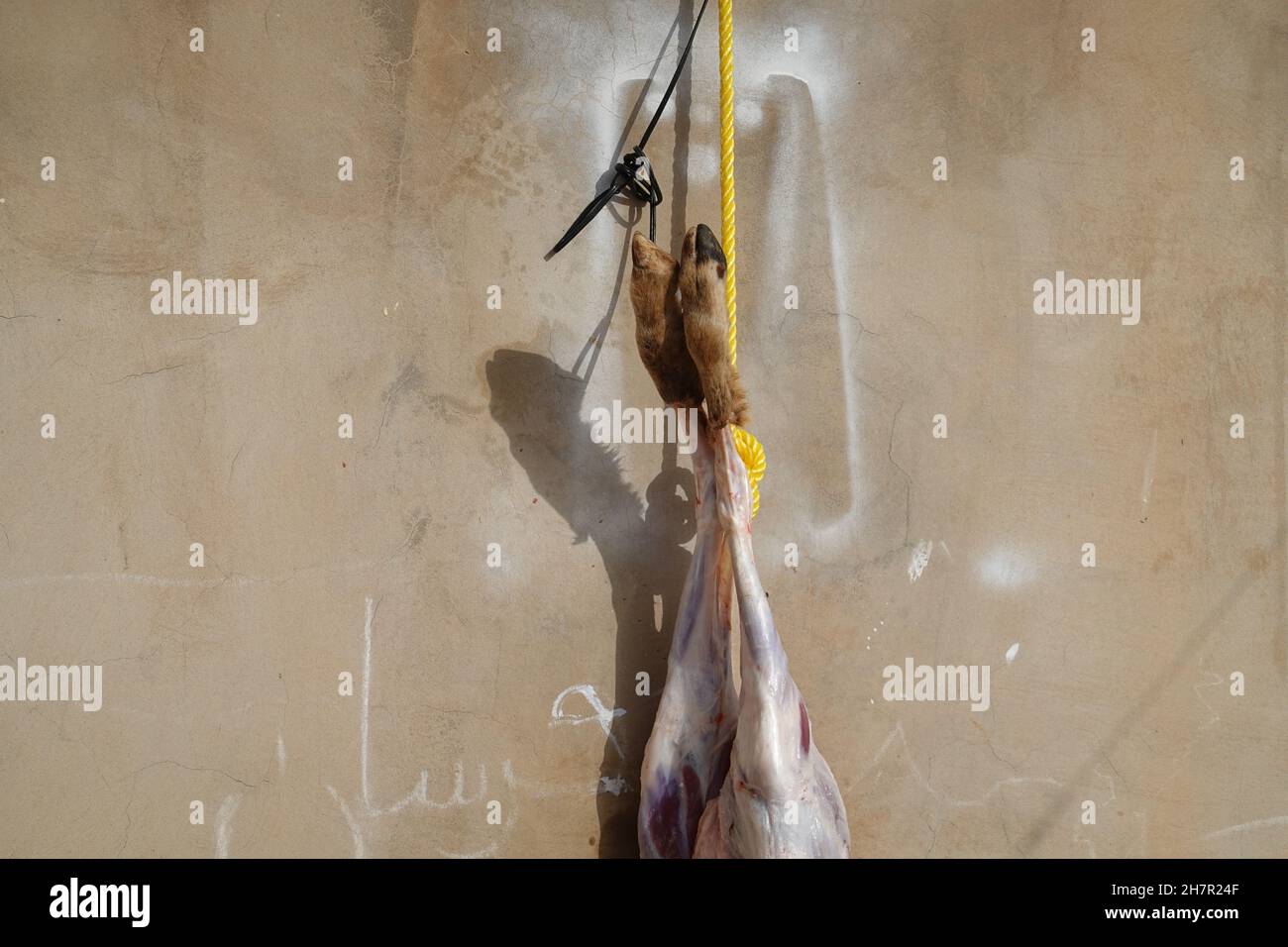 Closeup of smoked sheep leg hanging on the rope against a wall Stock ...