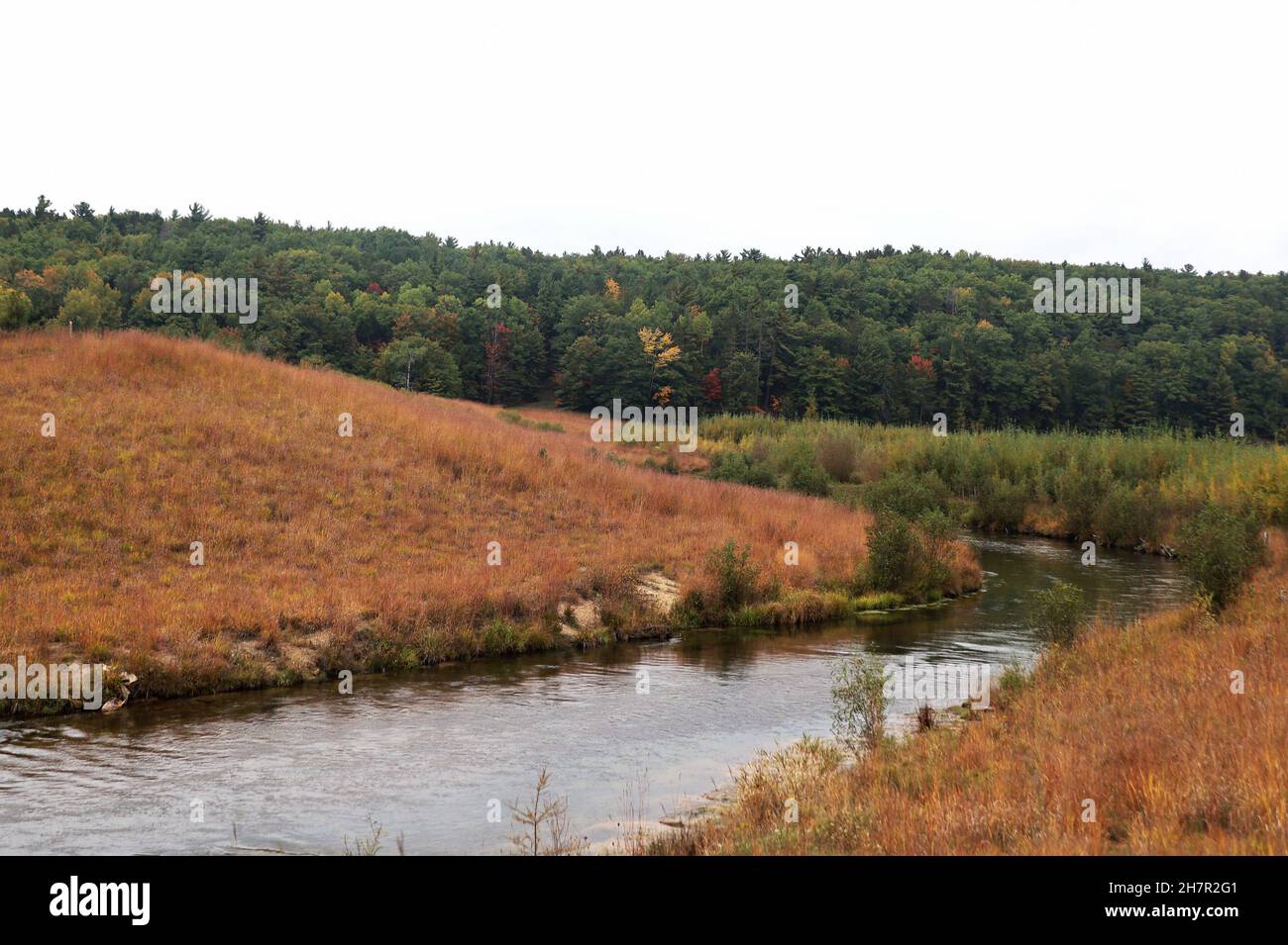 Small river flow stream surrounded by fields Stock Photo - Alamy