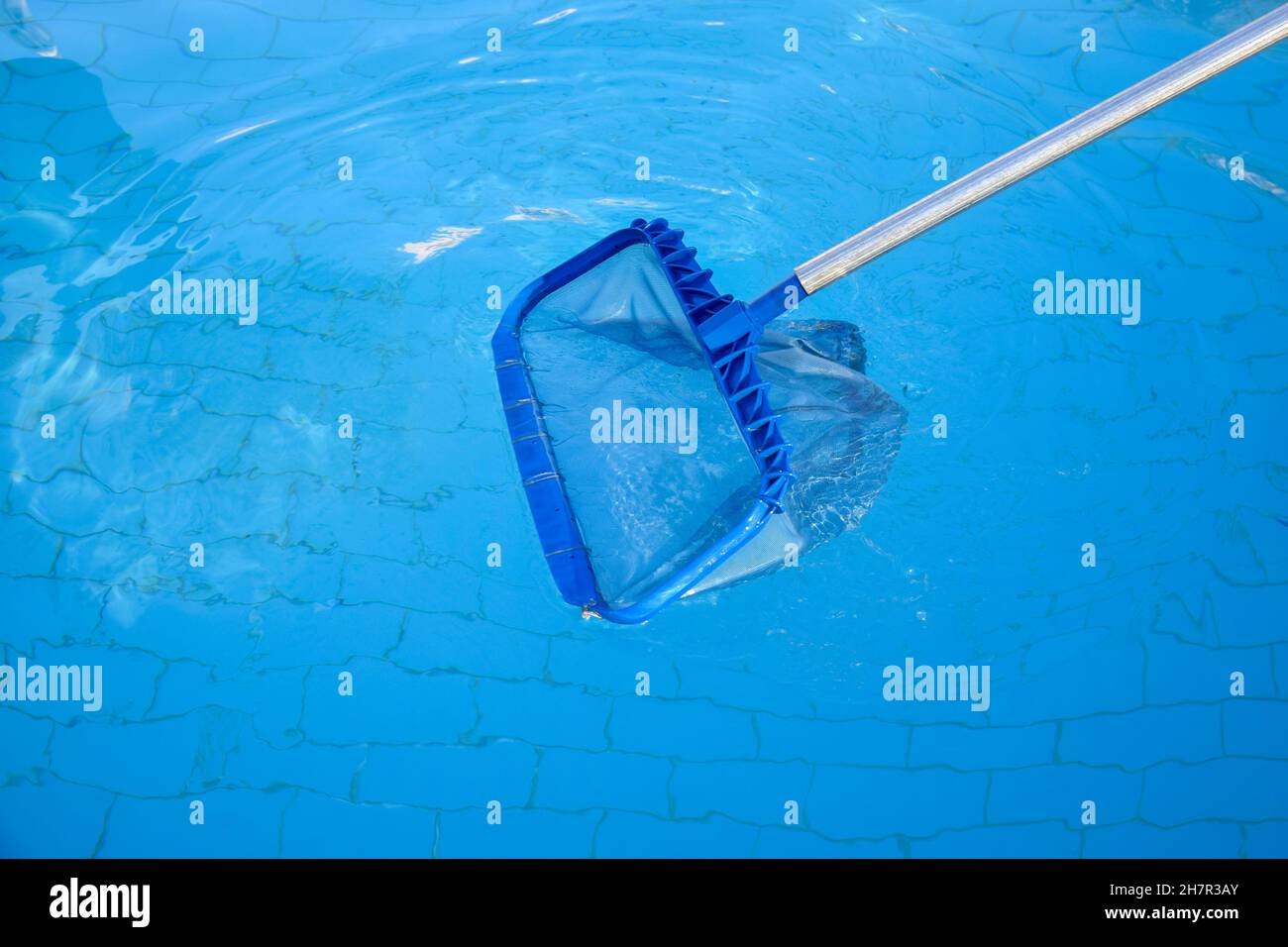 Cleaning pool from garbage with special net. Clear water with blue tint ...