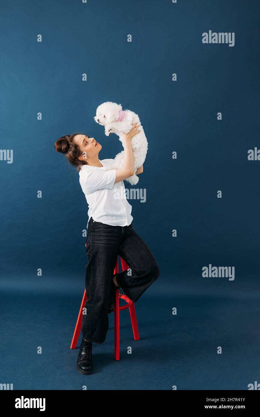 Side view of pet owner lifts up her little white dog against blue ...