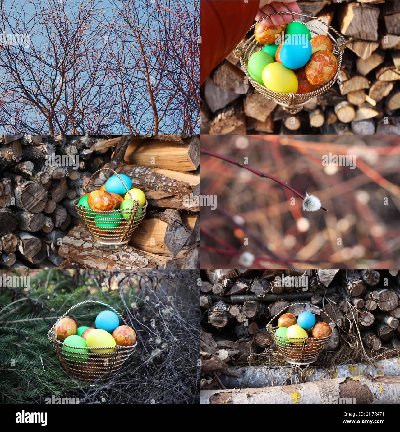 Easter collage with colorful eggs and tree branches Stock Photo - Alamy