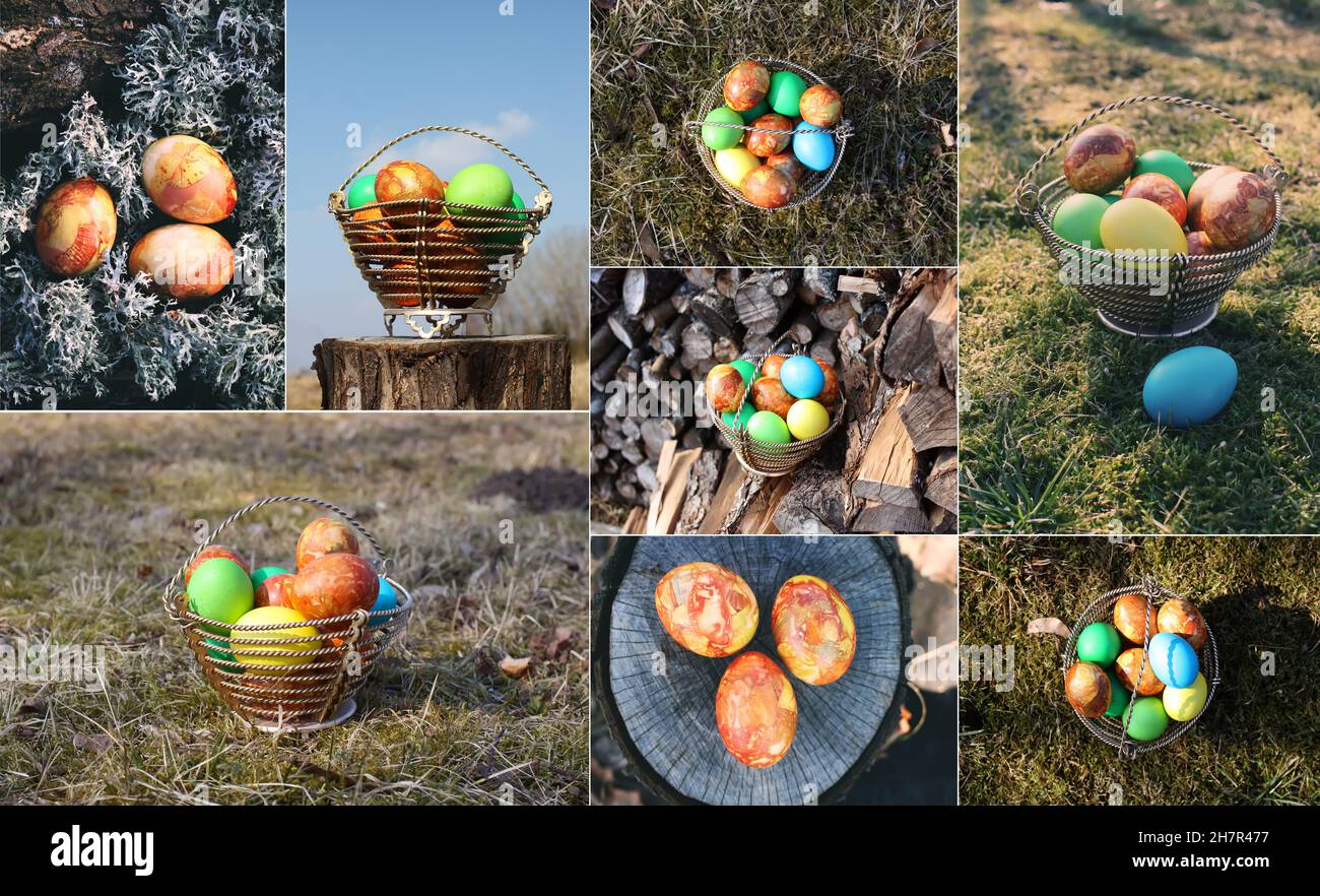 Easter collage with colorful eggs on nature background Stock Photo - Alamy