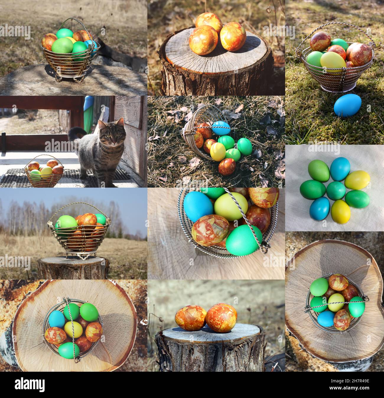 Easter collage with colorful eggs on nature background Stock Photo - Alamy