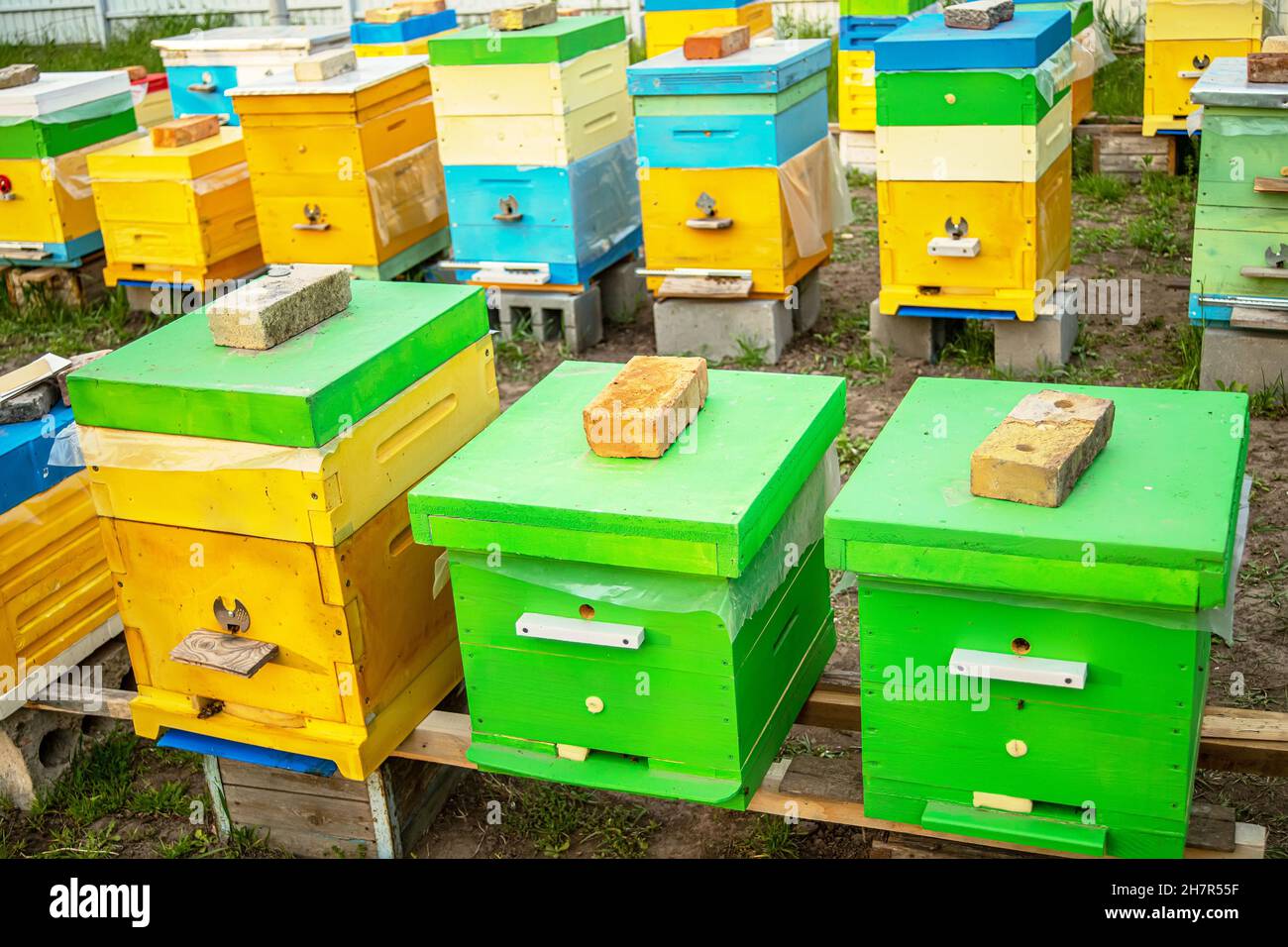 Bee hives Green and yellow in the apiary in the spring. Bricks on hive ...