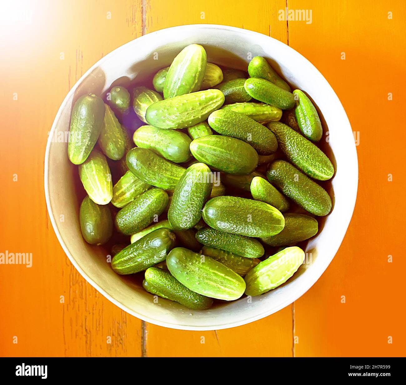 Ripe cucumbers on stem in hi-res stock photography and images - Alamy
