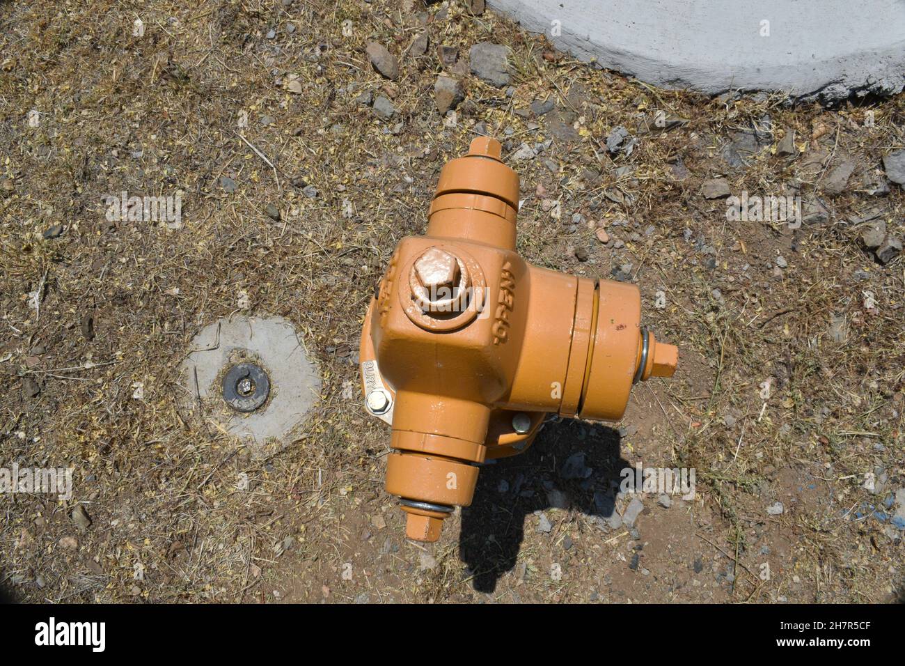 Top view of bright yellow fire hydrant Stock Photo - Alamy