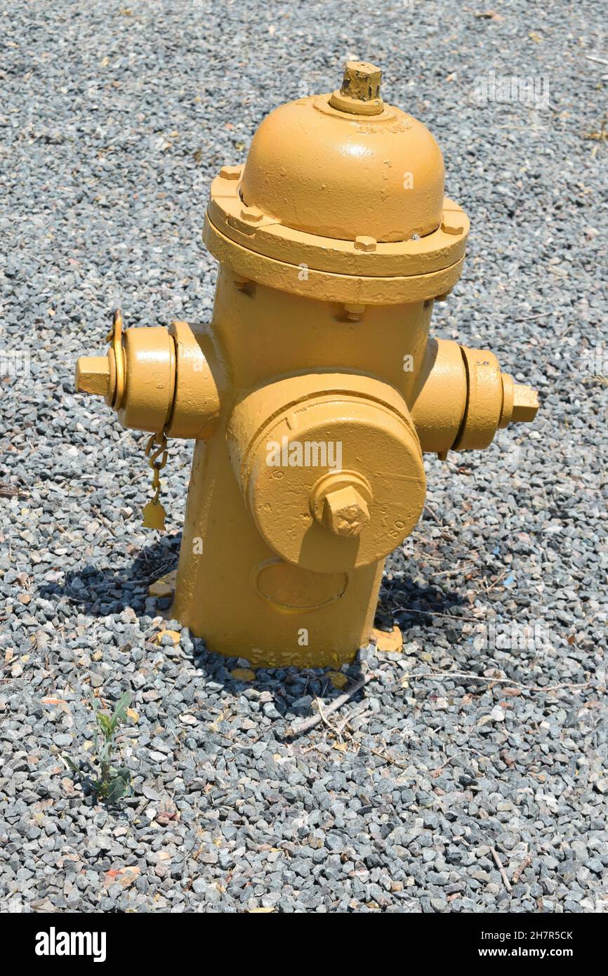 Front view of bright yellow fire hydrant Stock Photo - Alamy