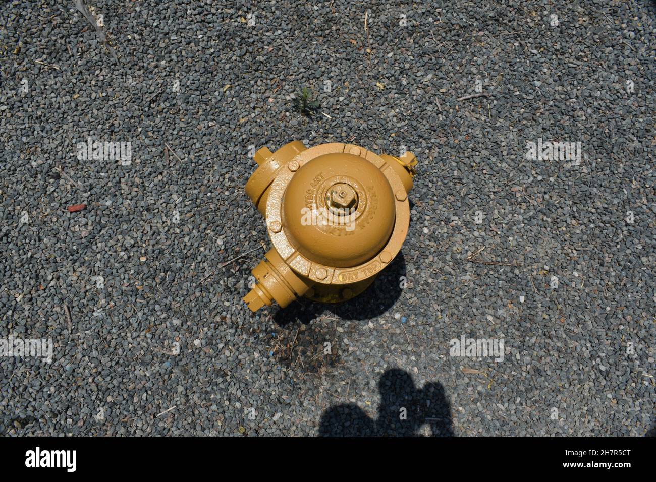 Top view of bright yellow fire hydrant Stock Photo - Alamy