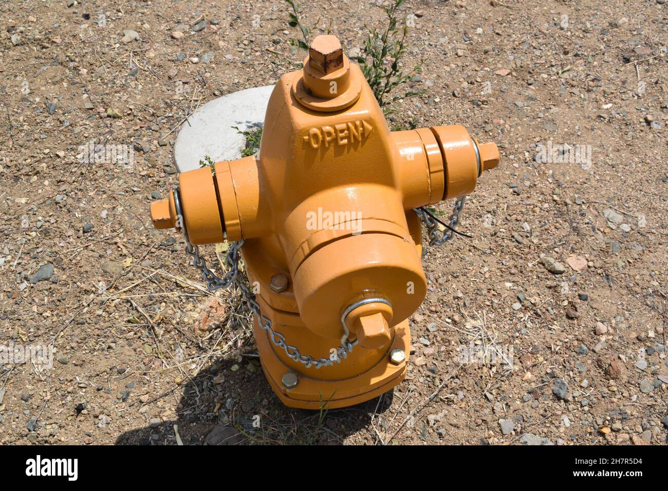 Front view of freshly painted yellow fire hydrant Stock Photo - Alamy
