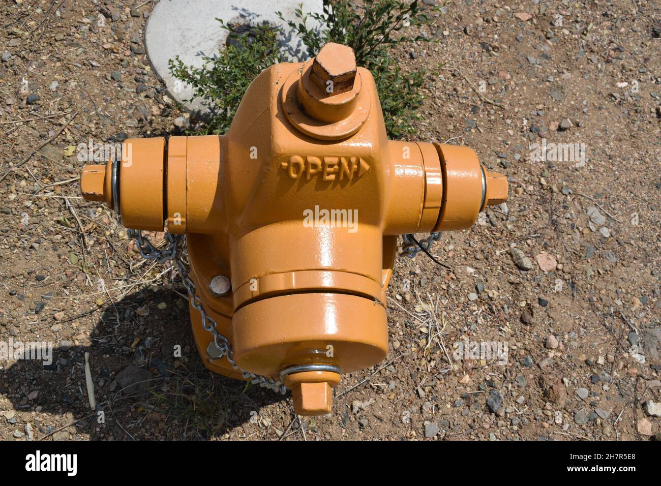 Top view of freshly painted yellow fire hydrant Stock Photo - Alamy
