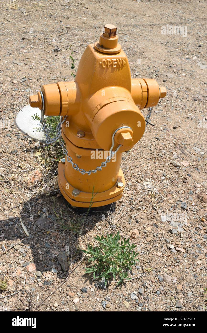 Freshly painted yellow fire hydrant Stock Photo - Alamy