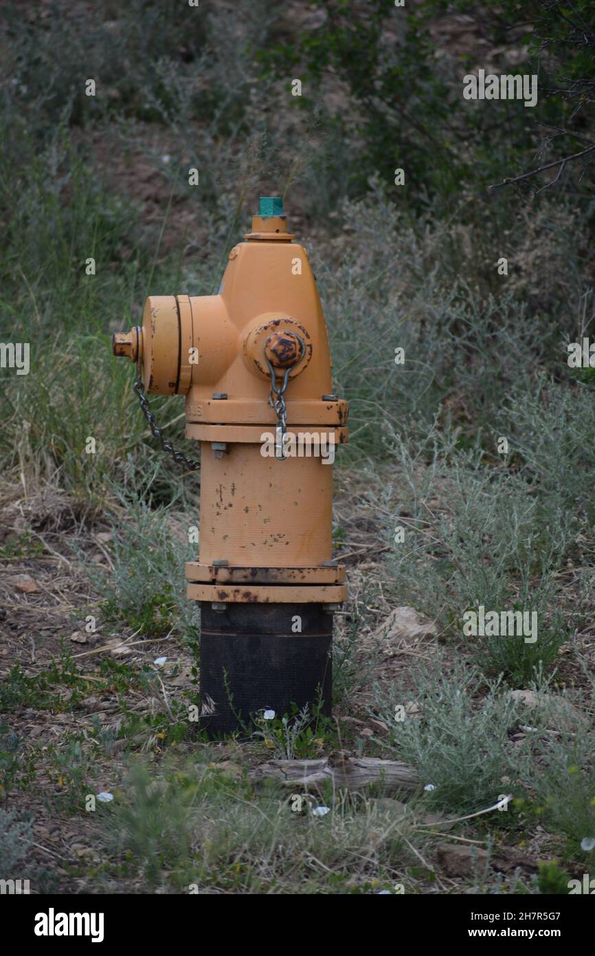 Side view of tall yellow fire hydrant Stock Photo - Alamy