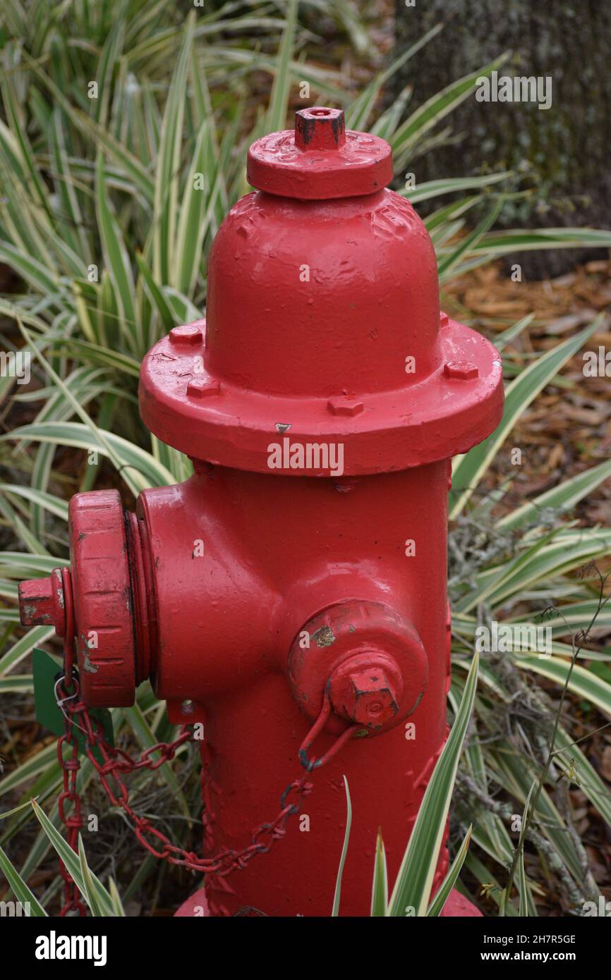 Side view of red fire hydrant Stock Photo - Alamy