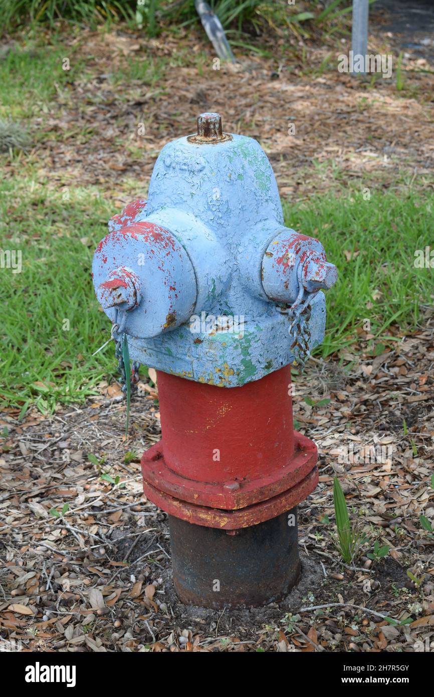 Paint peels off a blue and red fire hydrant Stock Photo - Alamy