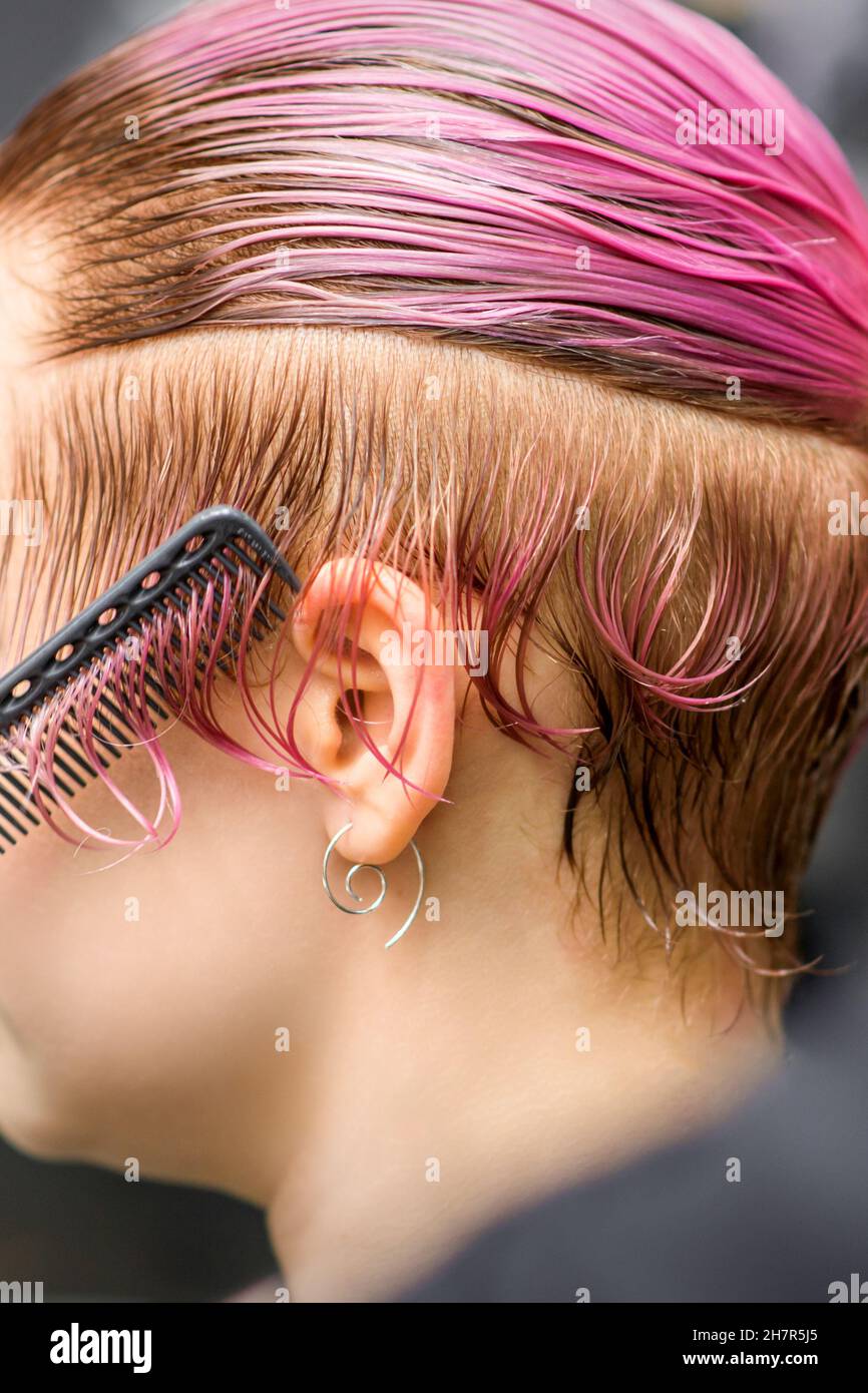 Combing the hair of a young woman during coloring hair in pink color at ...