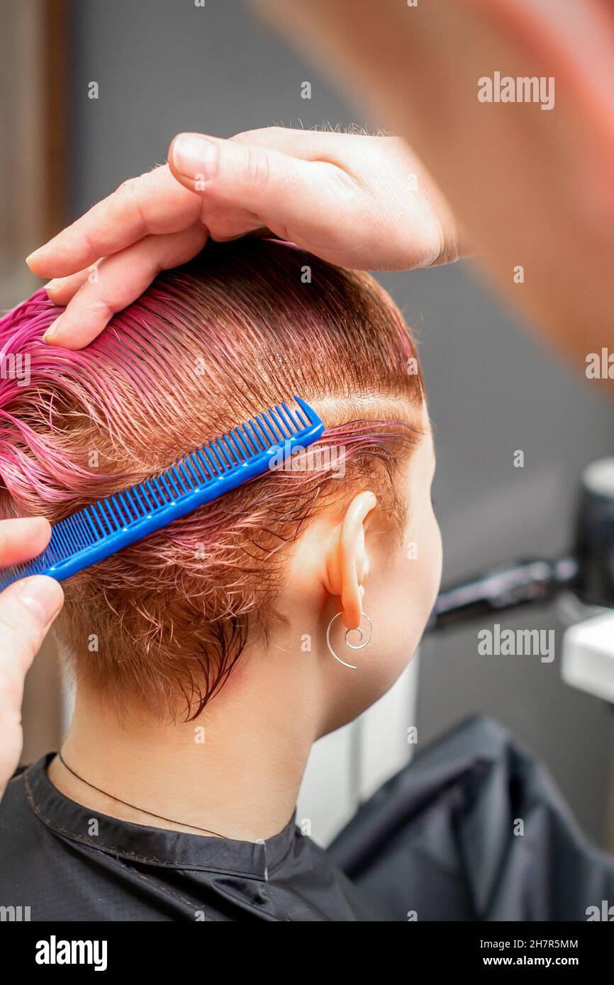 Combing the hair of a young woman during coloring hair in pink color at ...