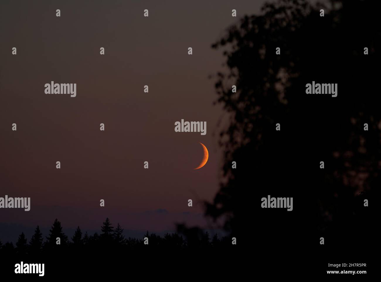 Red Waxing Crescent Moon