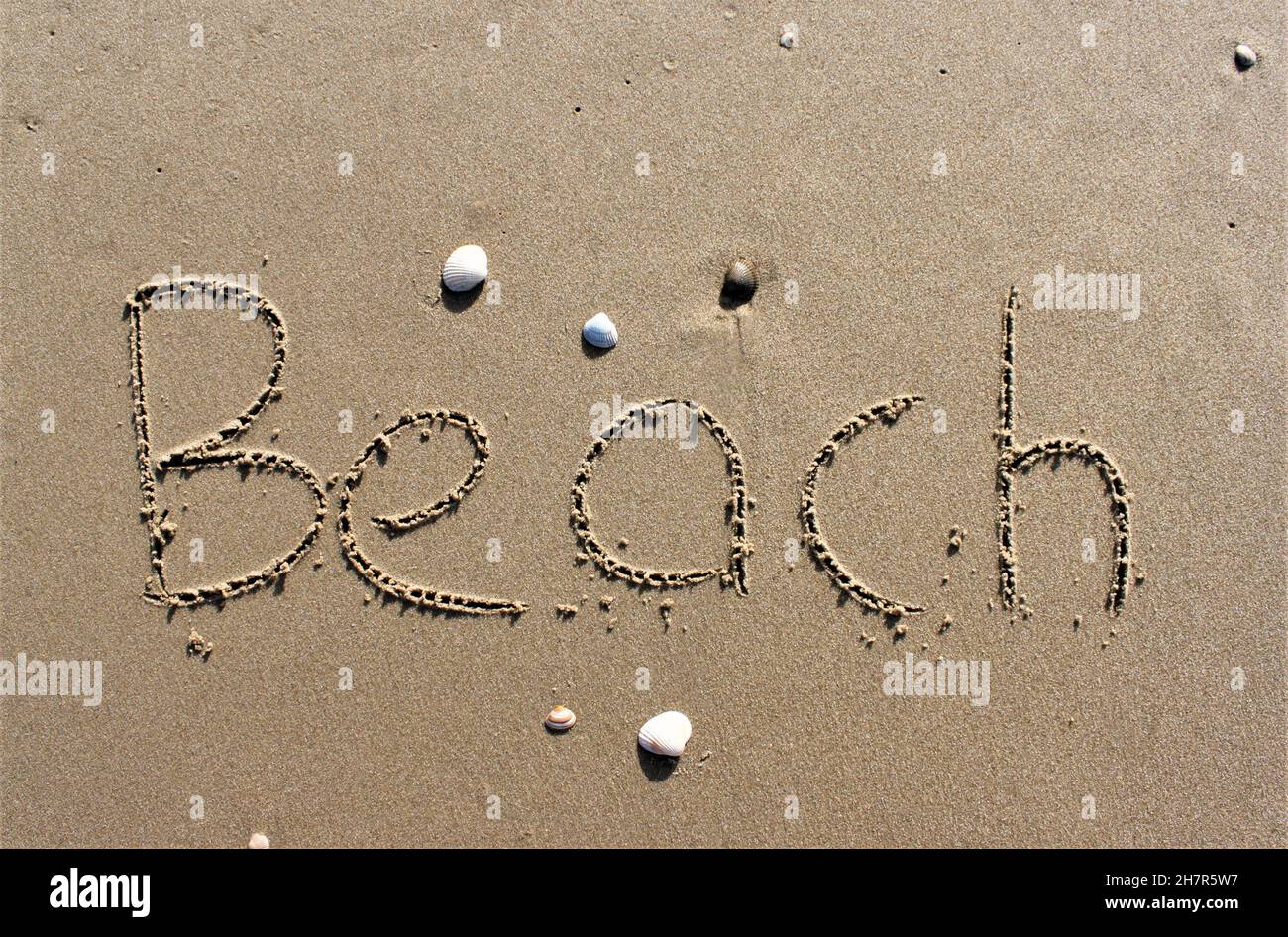 On the beach, the words Beach are carved in letters in the smooth sand ...