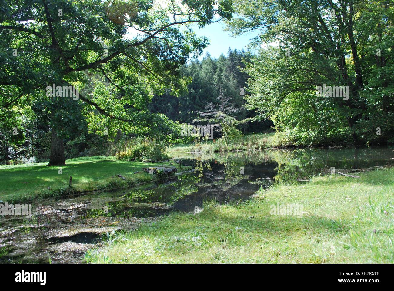 Beautiful shot park light hi-res stock photography and images - Alamy